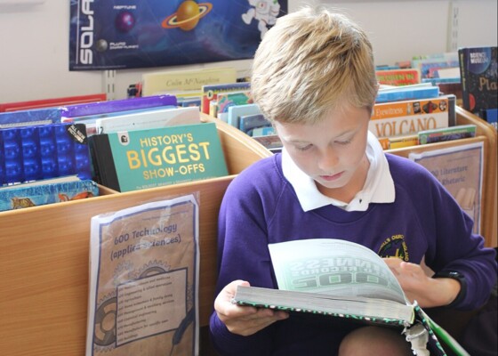 Welcome to St Sidwell's Church of England Primary and Nursery School